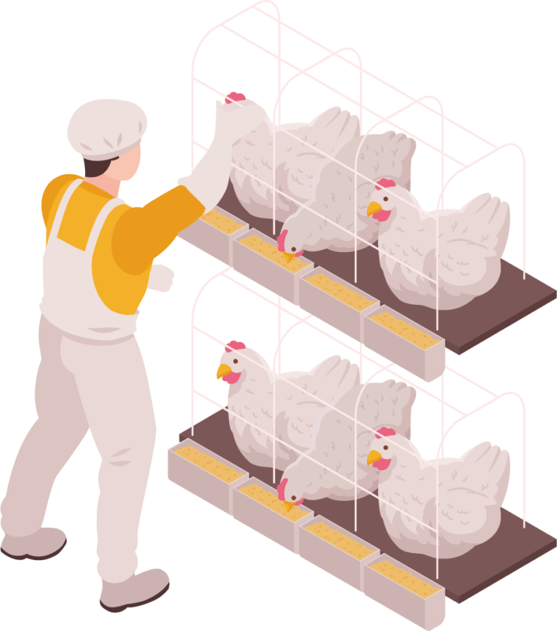Proper Protection for Dealing with Bird Flu - Coverall Academy