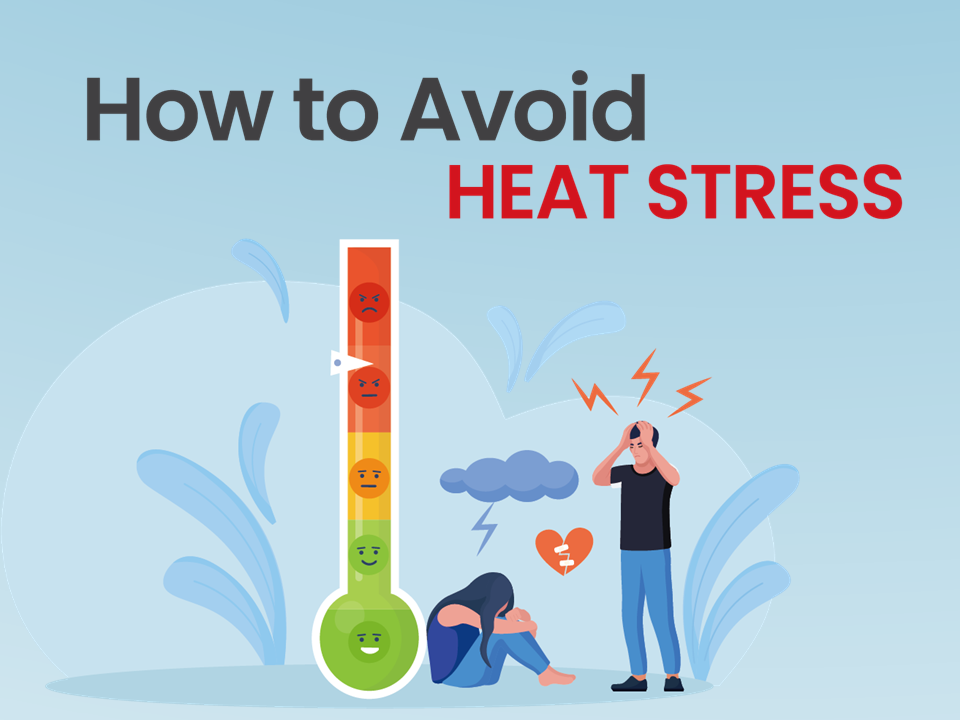 How to Avoid Heatstress - Coverall Academy